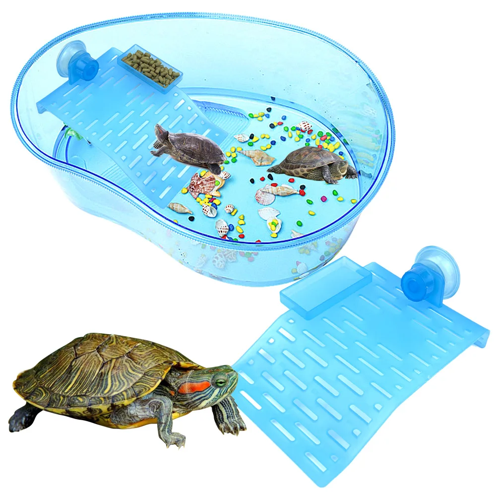 Pet Turtles Tanks