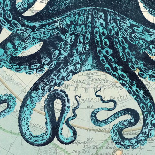 Antique Octopus Art
