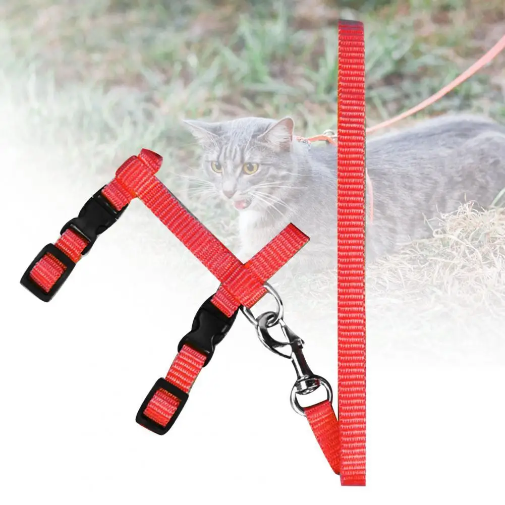 Adjustable Chest Strap Cat Kitten Traction Rope Walking Harness Leash ...