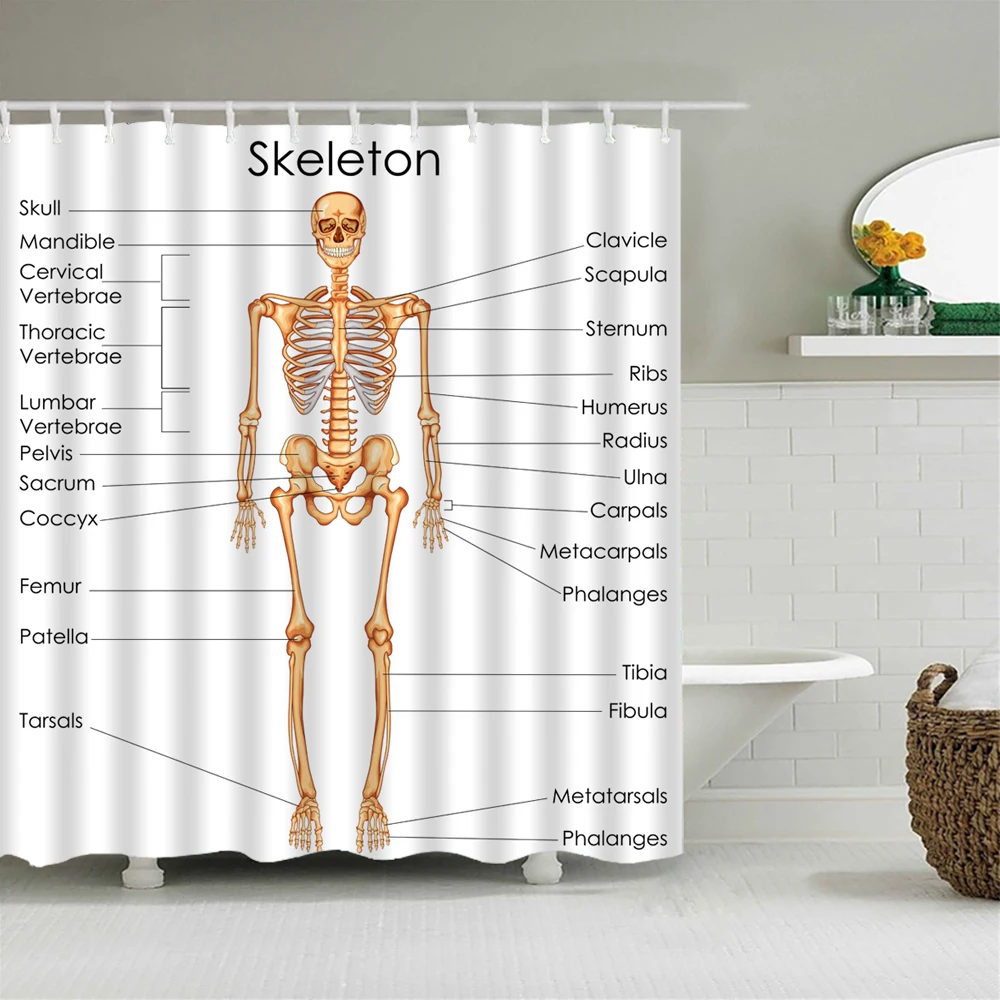 Human-Anatomy-Shower-Curtain-Complete-Chart-of-Different-Organ-System ...