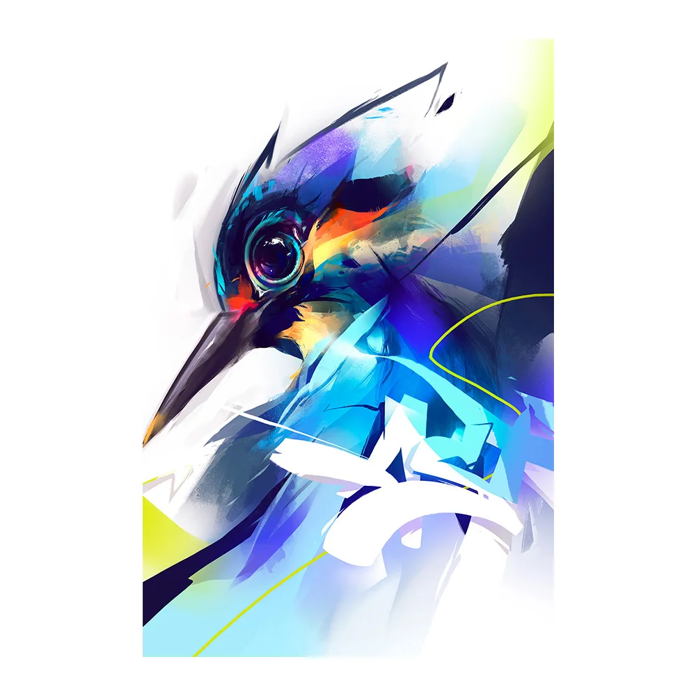 Abstract Bird Drawings