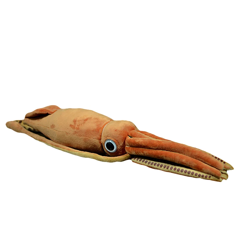Real Life Giant Squid
