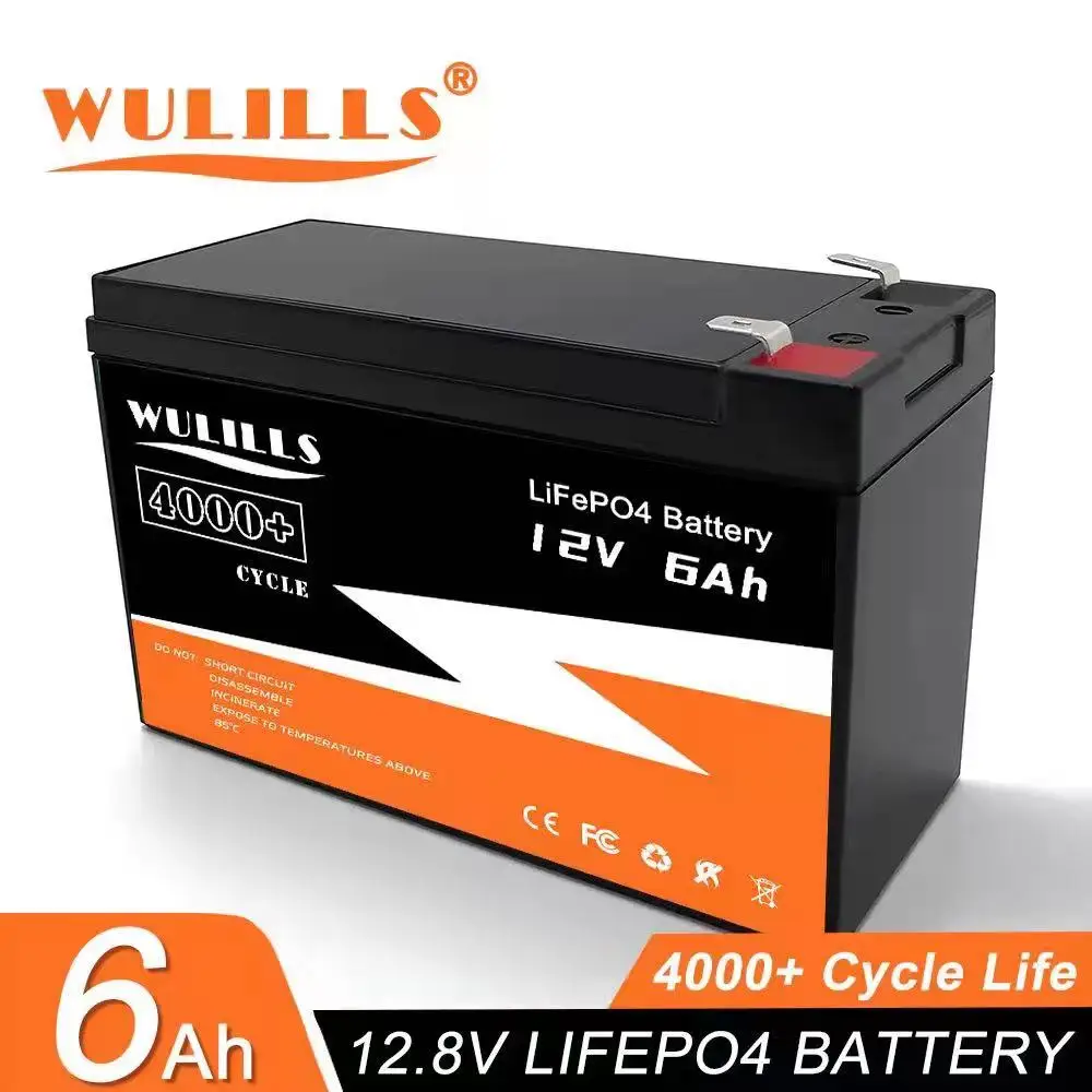 12V 6Ah LiFePo4 Battery Pack 6Ah Lithium Iron Phosphate Built-in BMS ...