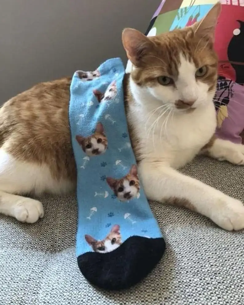 Custom Pet Socks | asghedom.com