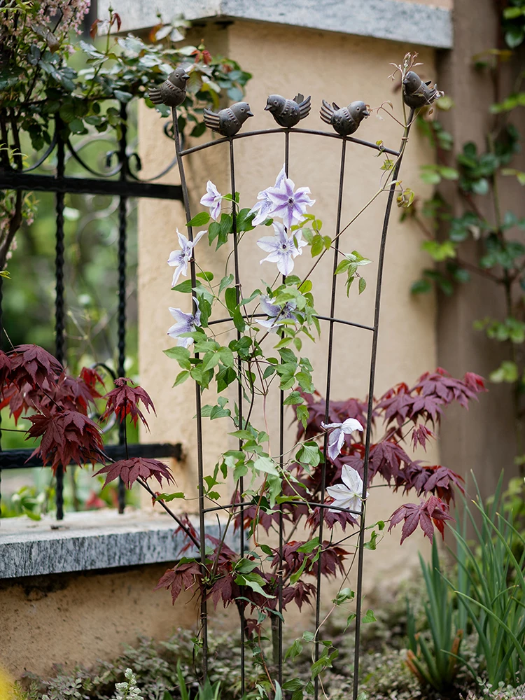Clematis Fence Cover