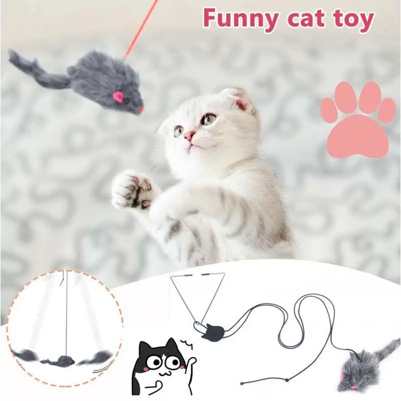 Excited Funny Cat
