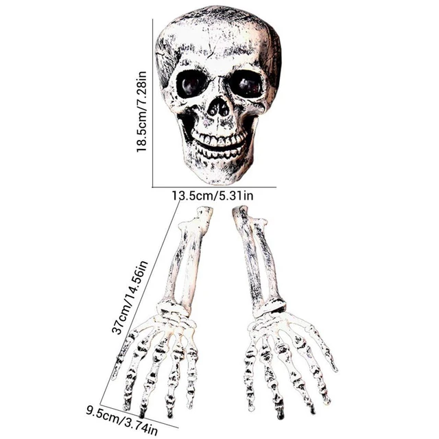 Easy Skeleton Face Drawing