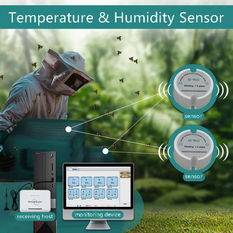 Sensor inalámbrico de temperatura y humedad, Monitor de abeja para ...