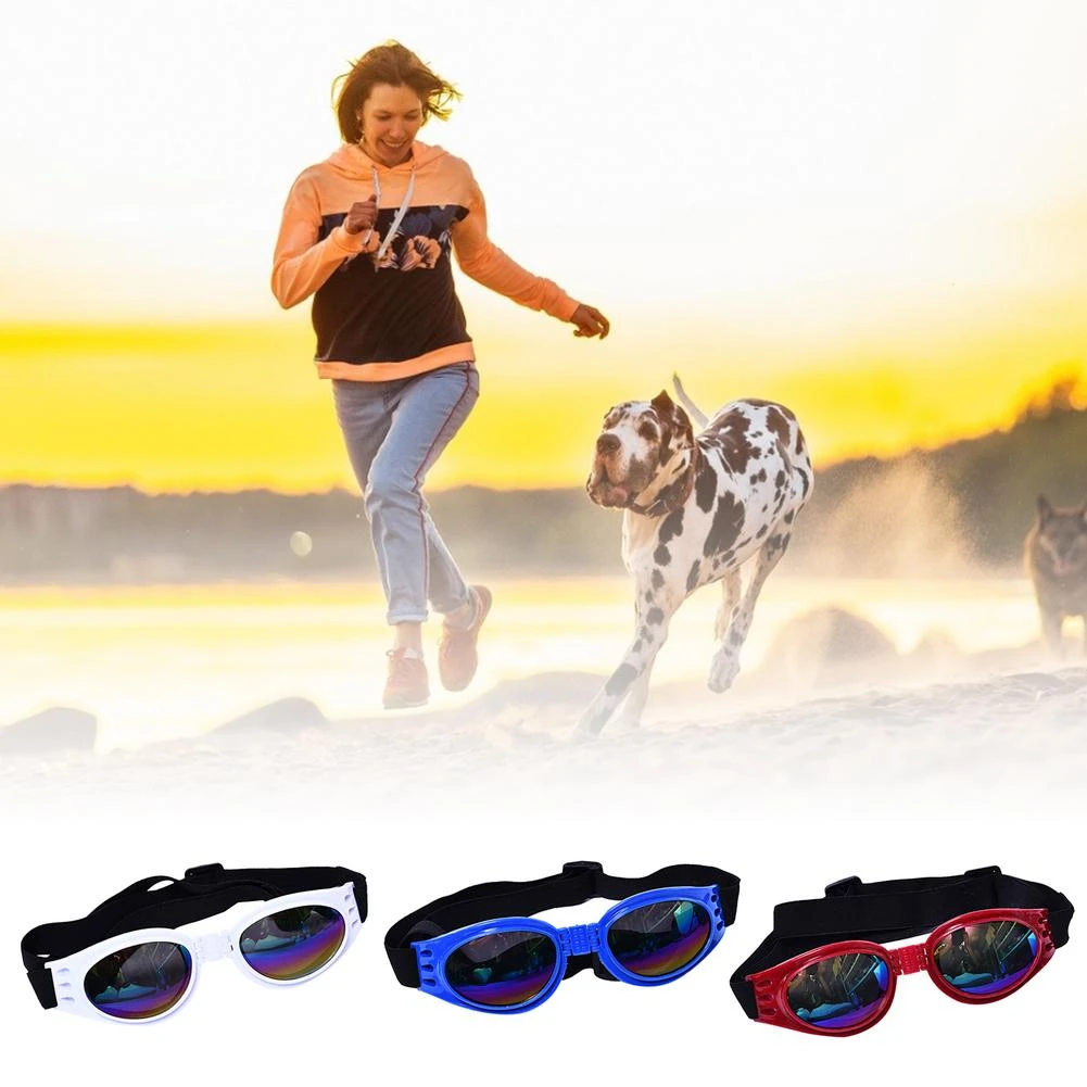 How Are Doggles Measured