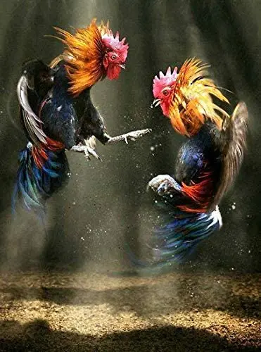 ZMKDLL Two Roosters Fighting Chicken Tin Sign Art Metal Wall Plaque ...