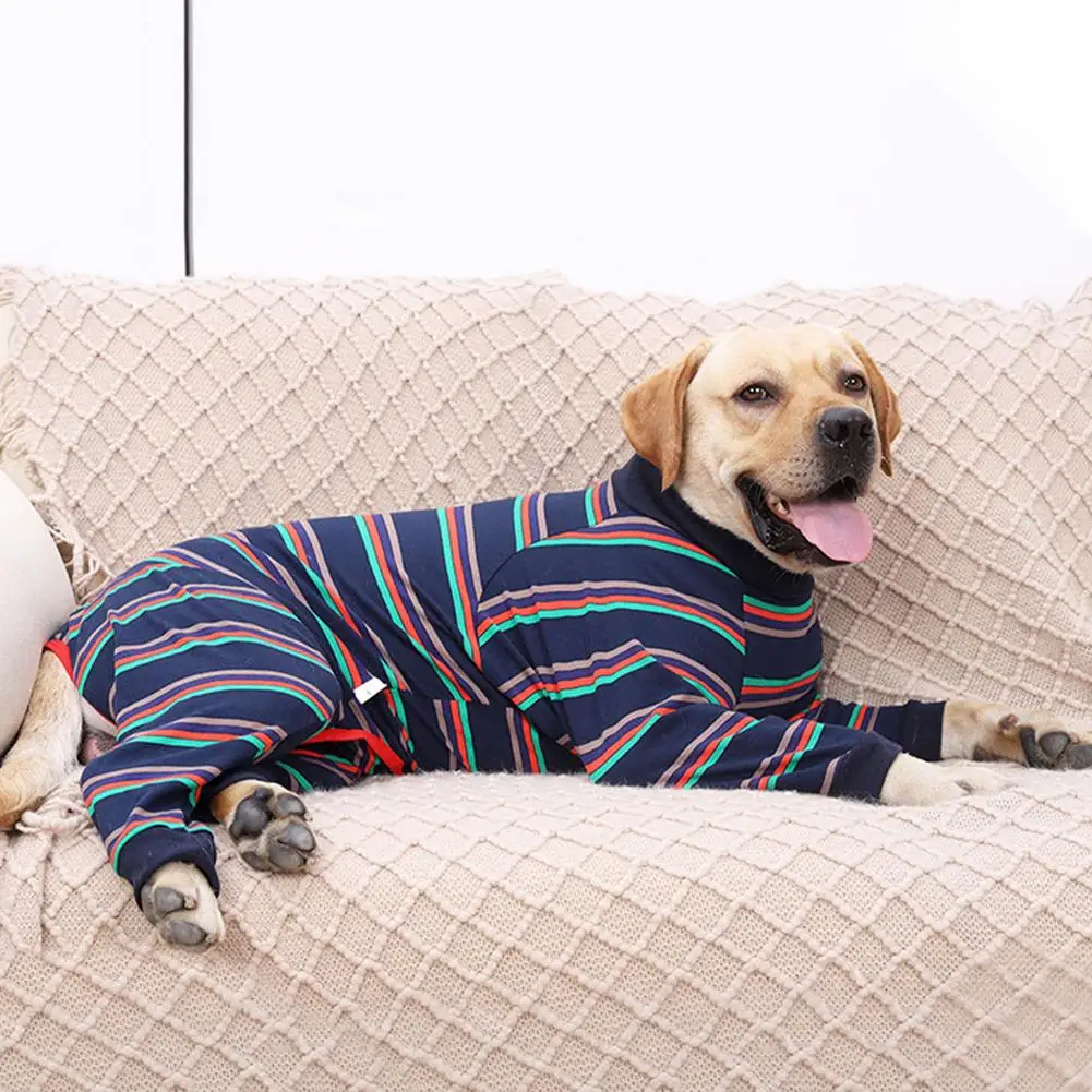 Labrador Dog Pajama