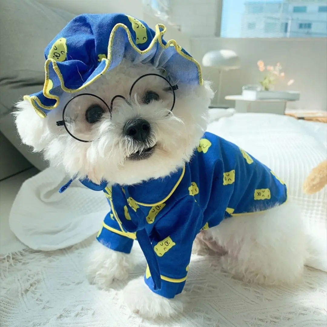 Cute Dogs Wearing Clothes