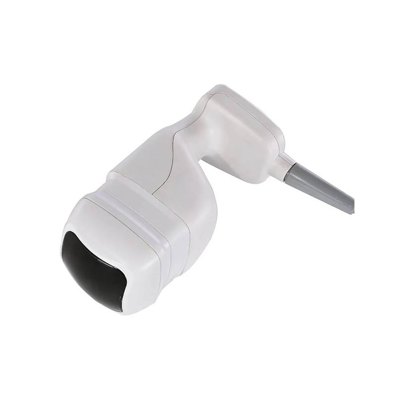 Transductor De Ultrasonido Vaginal