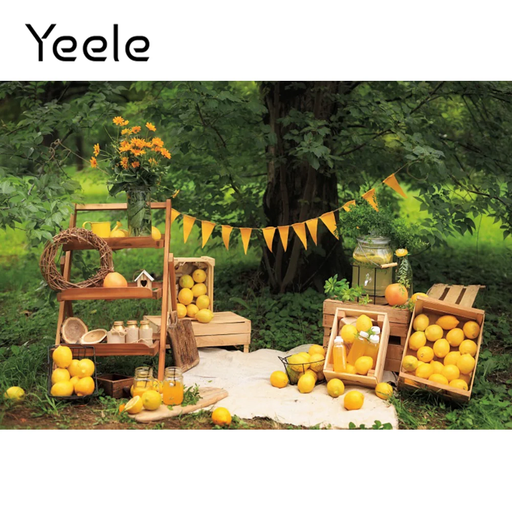 Yeele Spring Picnic Lemon Photography Backdrop Baby Birthday Decor ...
