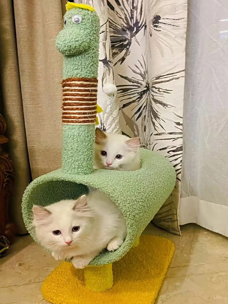 LITTLE DINOSAUR CAT CLIMBING FRAME - CTPT301 - Cat towers.uk