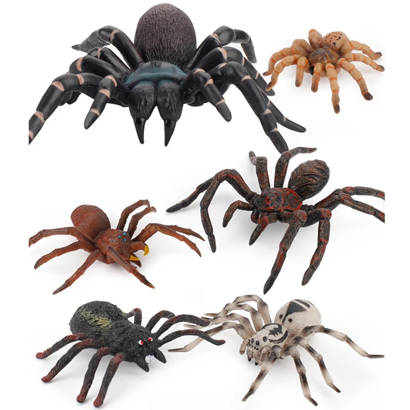 Simulation-Animals-Insect-Solid-Model-Tarantula-Black-Spider-Halloween ...