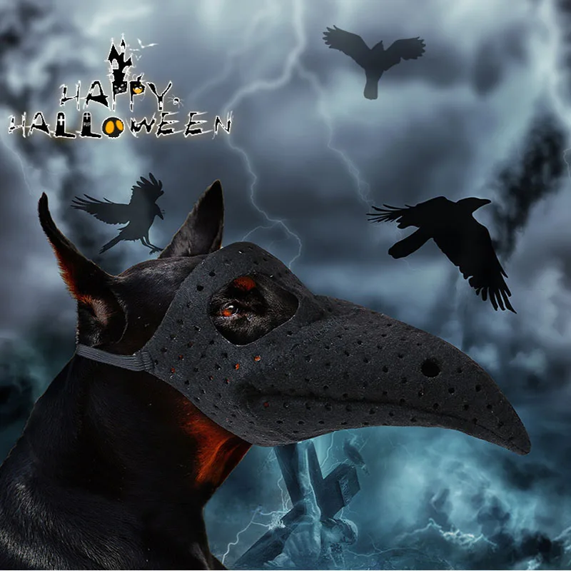 Crow Wings Costume