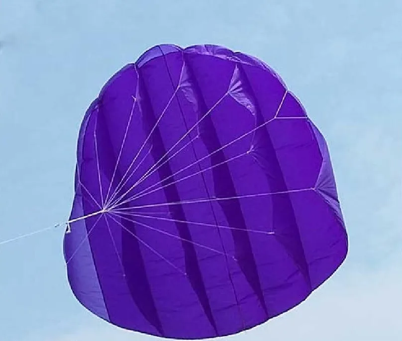 Pilot-kite.jpg