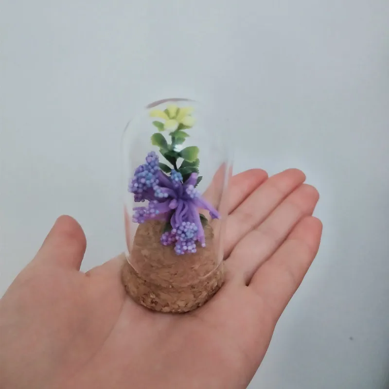 3.7*6cm Mini Size Cork Base Tube Shaped Glass Dome Home Decoration Dry ...
