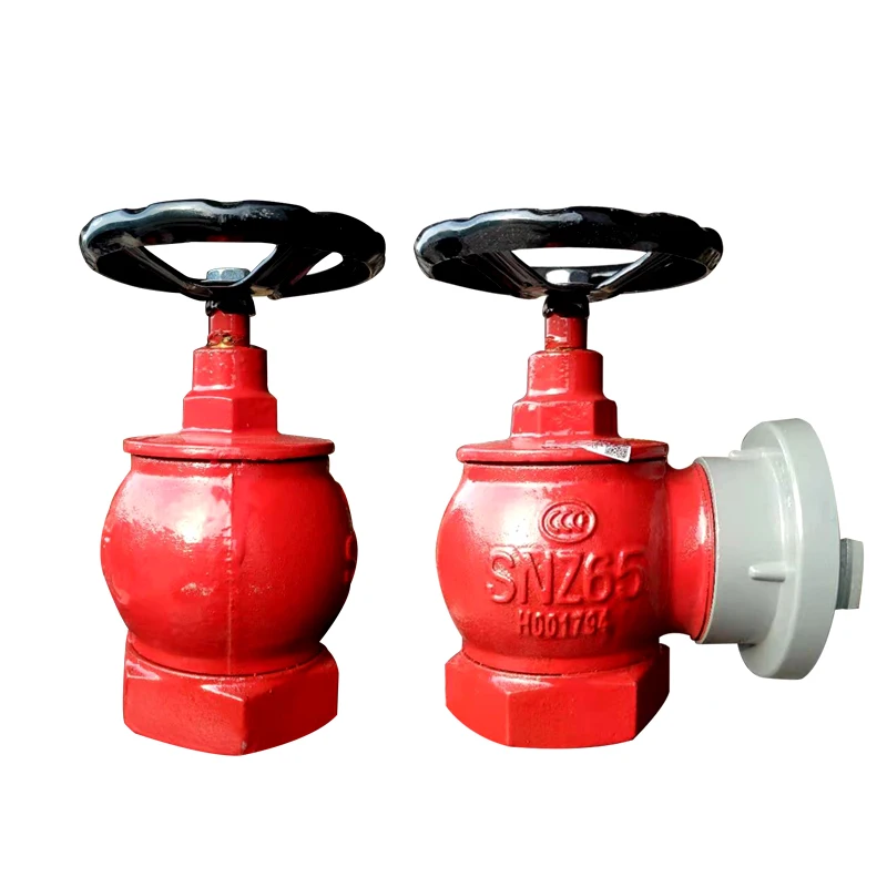 1 piece Indoor fire hydrant SNZW65 national standard fire hydrant bolt ...