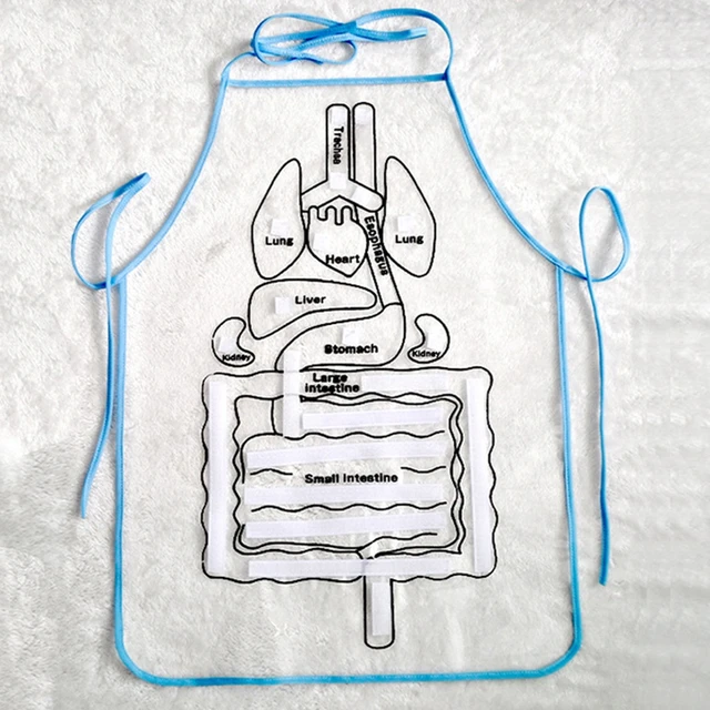 Science Apron Clipart