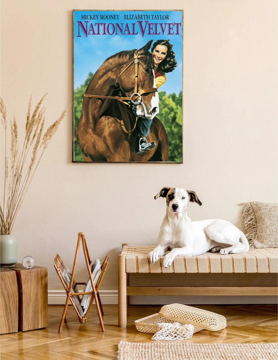 Donald Crisp National Velvet