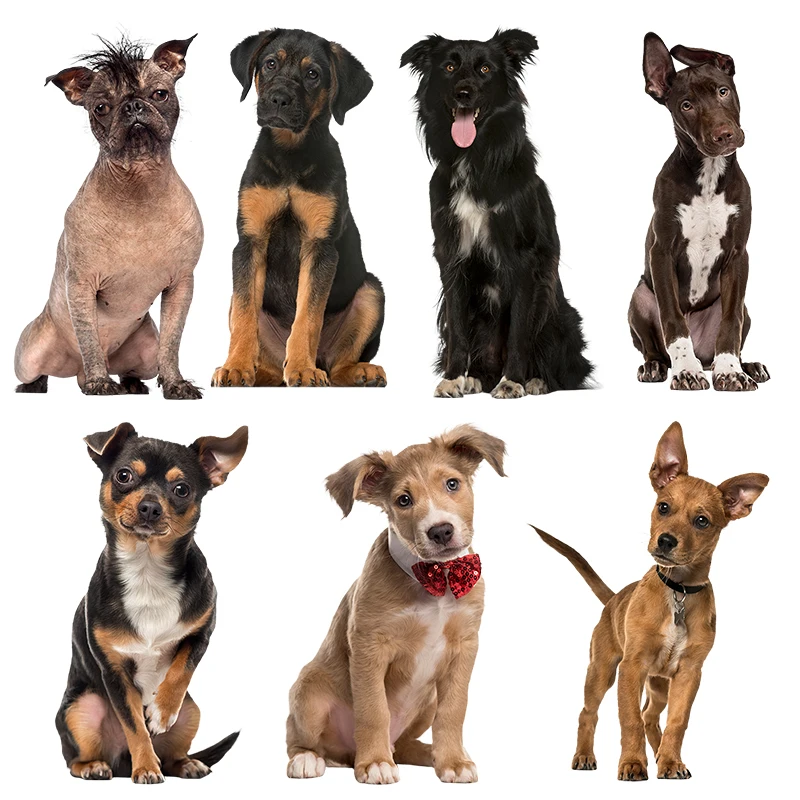 Vinyl Pixel Stickers Cars | Pixel Stickers Decals | Pixel Sticker ...