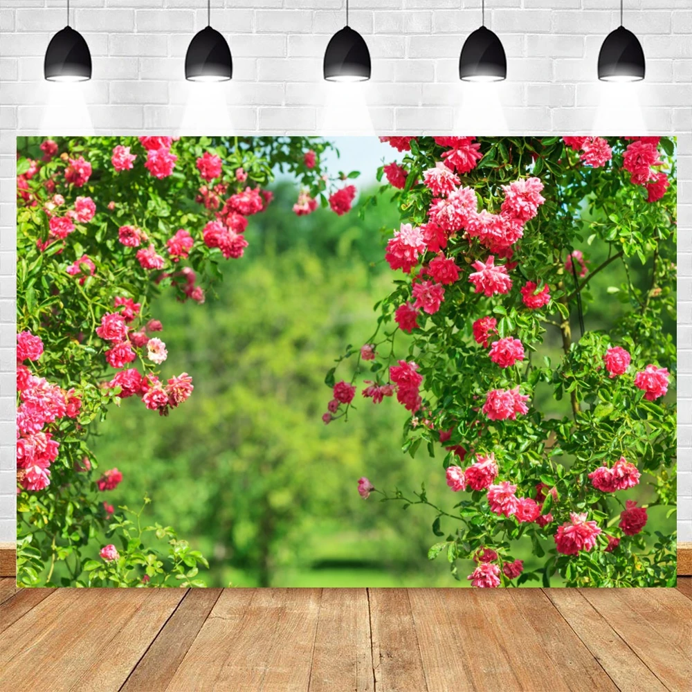 Picnic Backgrounds