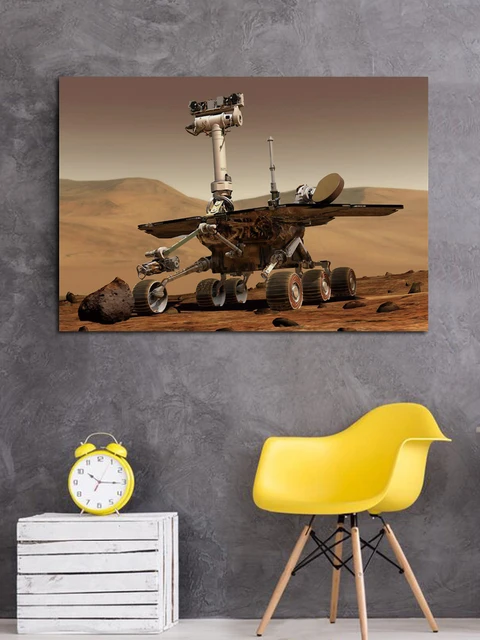 Mars Rover Fabric