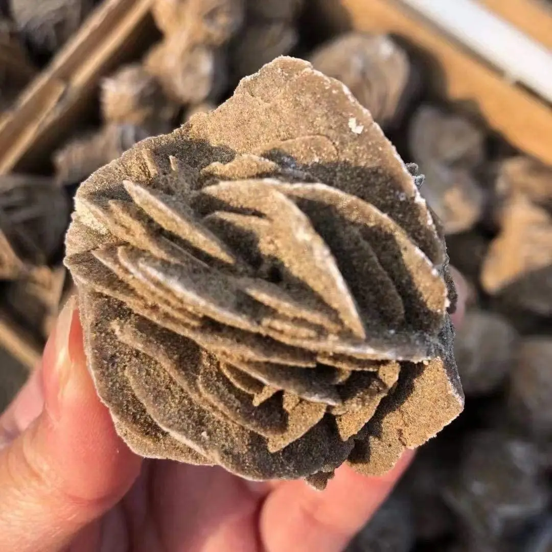 Natural-Beautiful-Quartz-Desert-Rose-Crystal-Mineral-Selenite-Raw ...