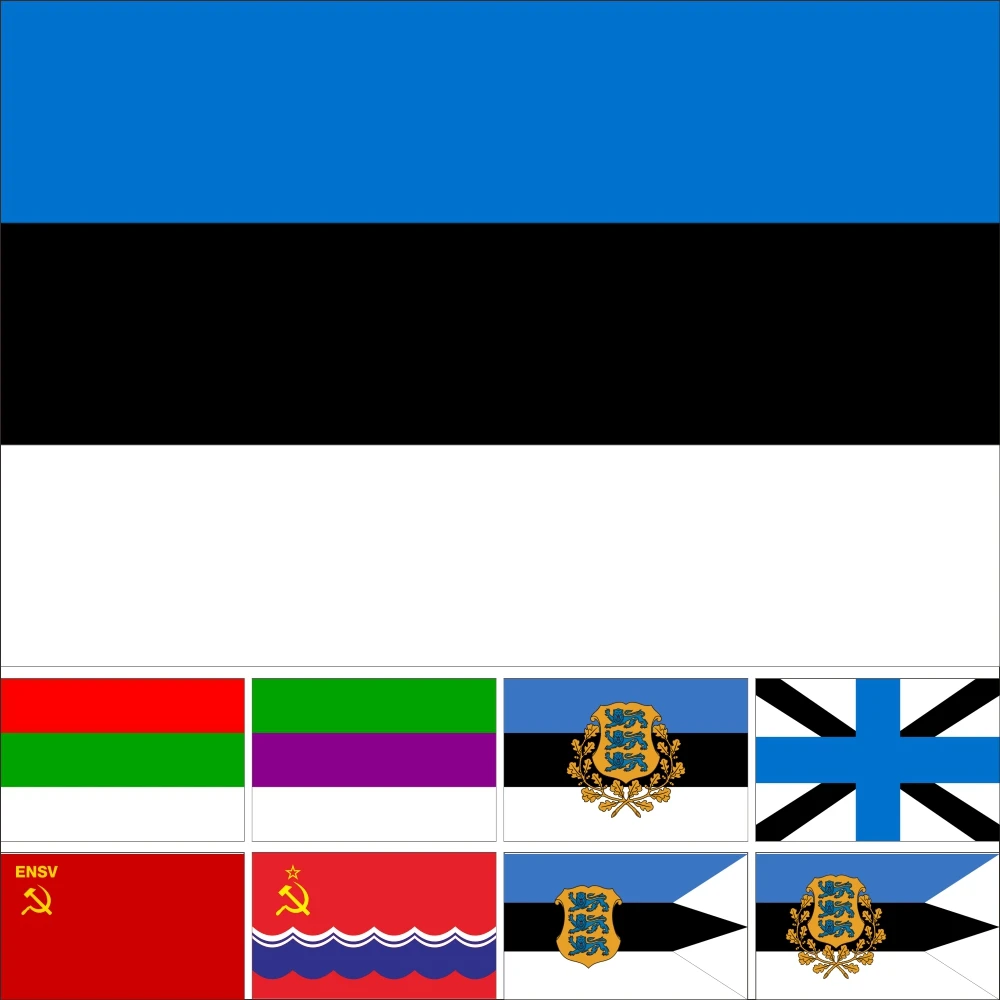 Estonia-Presidential-History-Flag-90X150cm-3x5FT-120g-100D-High-Quality ...