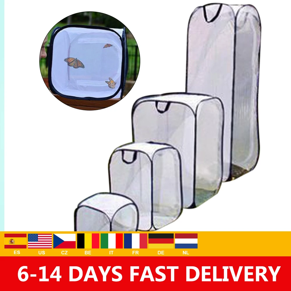 Praying Mantis Cage at Dwayne Carson blog