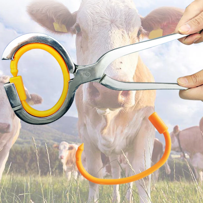 1pc Bull Cattle Nose Pliers Cow Nose Piercing Pliers Bull Nose Drilling ...