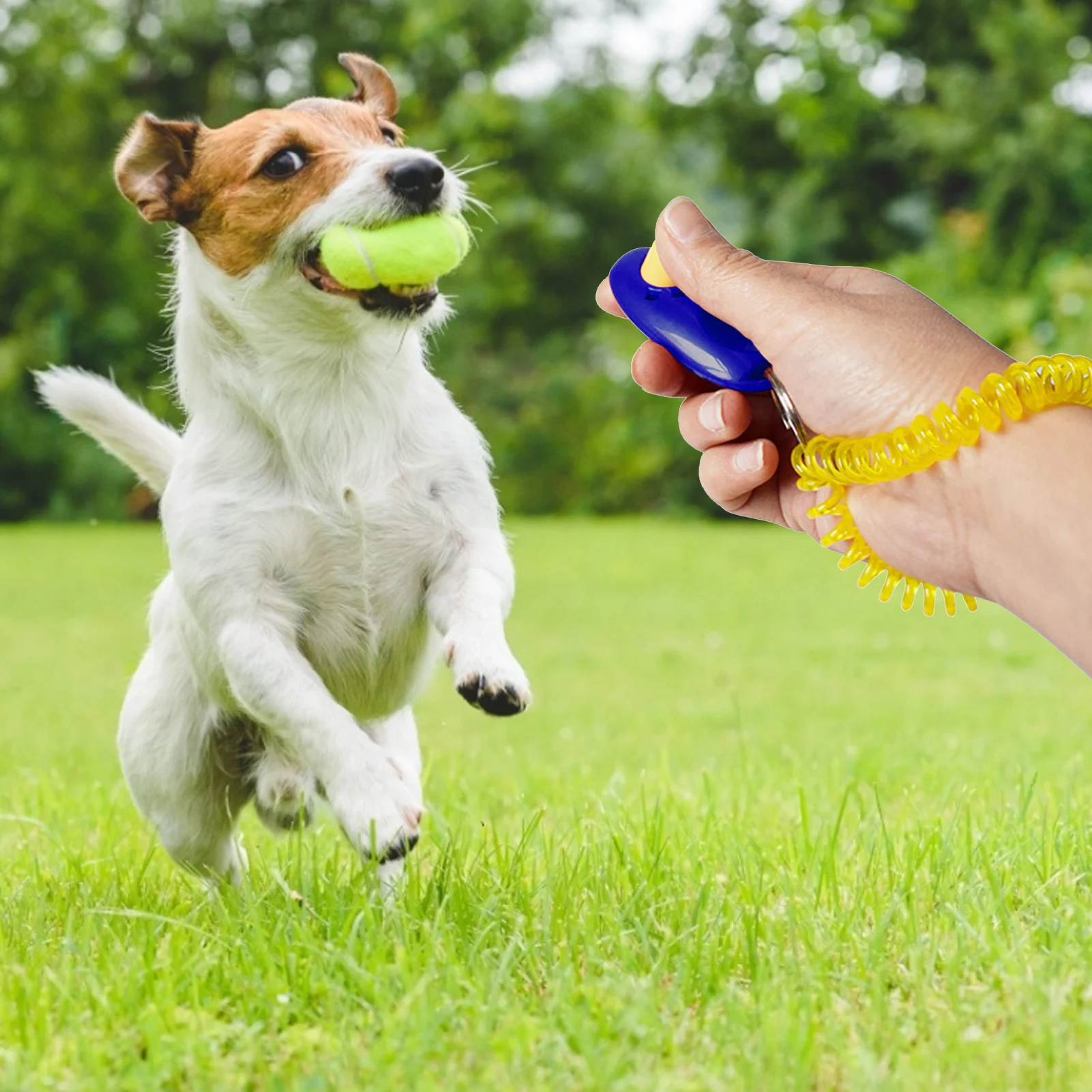 Dressage - Exercices pour chien,Guide d'entraînement Portable, 1 pièce ...
