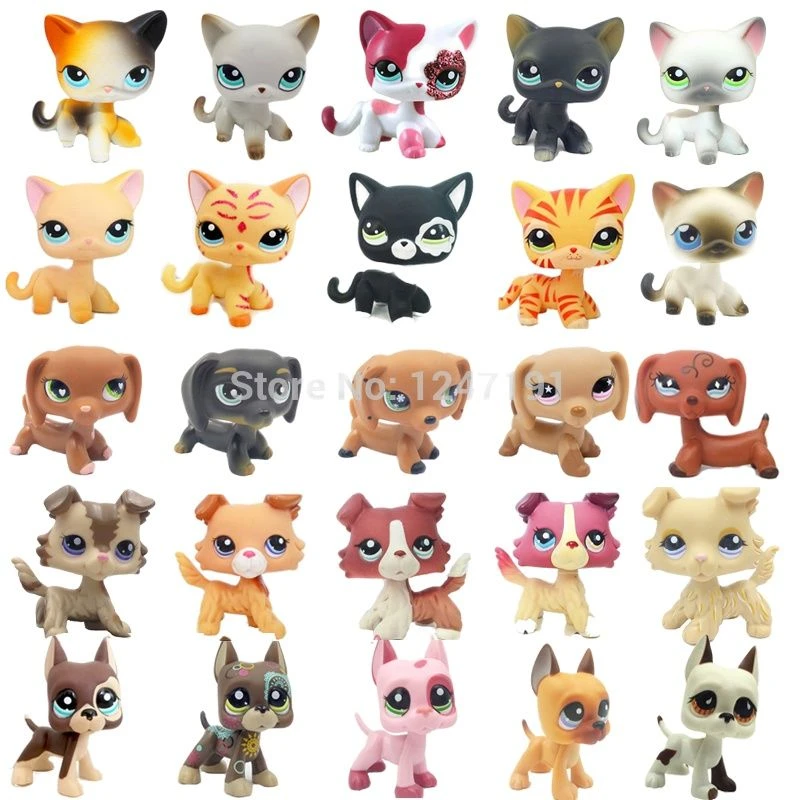 Littlest Pet Shop Perro Salchicha | canoeracing.org.uk