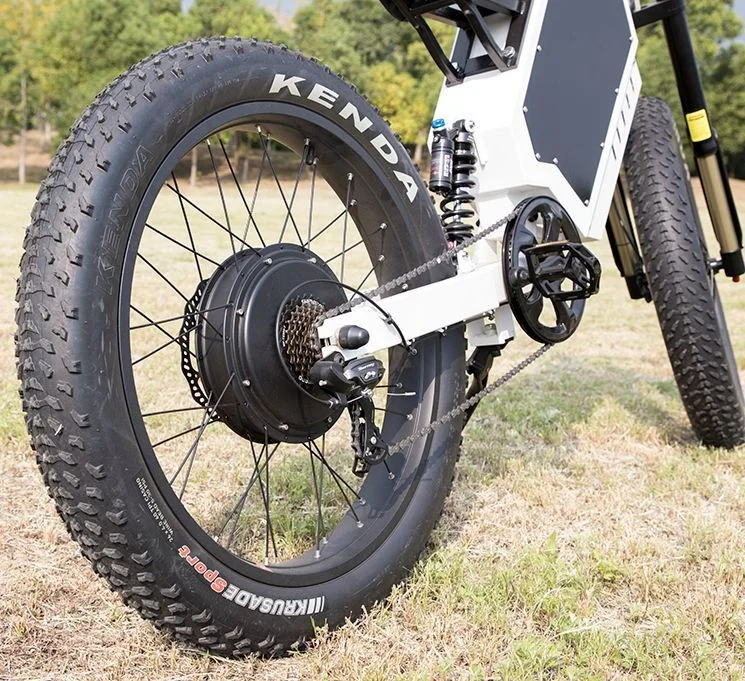 Most Attractive Steel Frame Fat Electric Bike Beach Cruiser 8000W Ebike ...