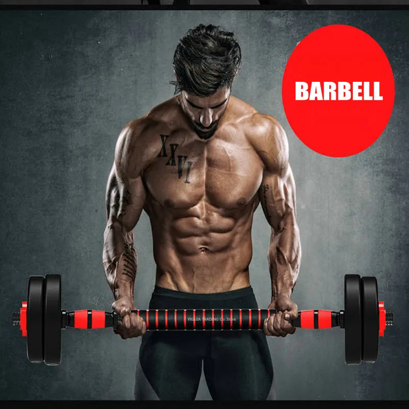 Dumbbell Barbell Back Exercises | ppgbbe.intranet.biologia.ufrj.br