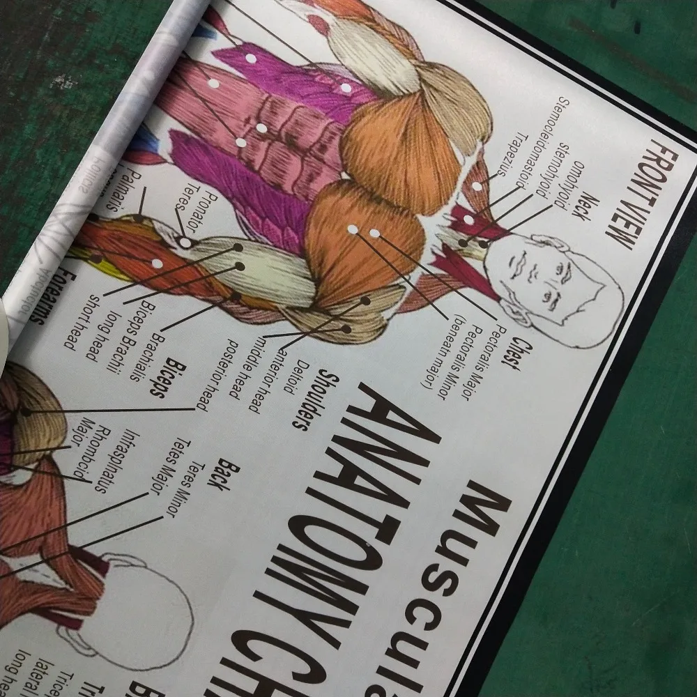 Color difference is normal, the quality is absolutely HD picture.