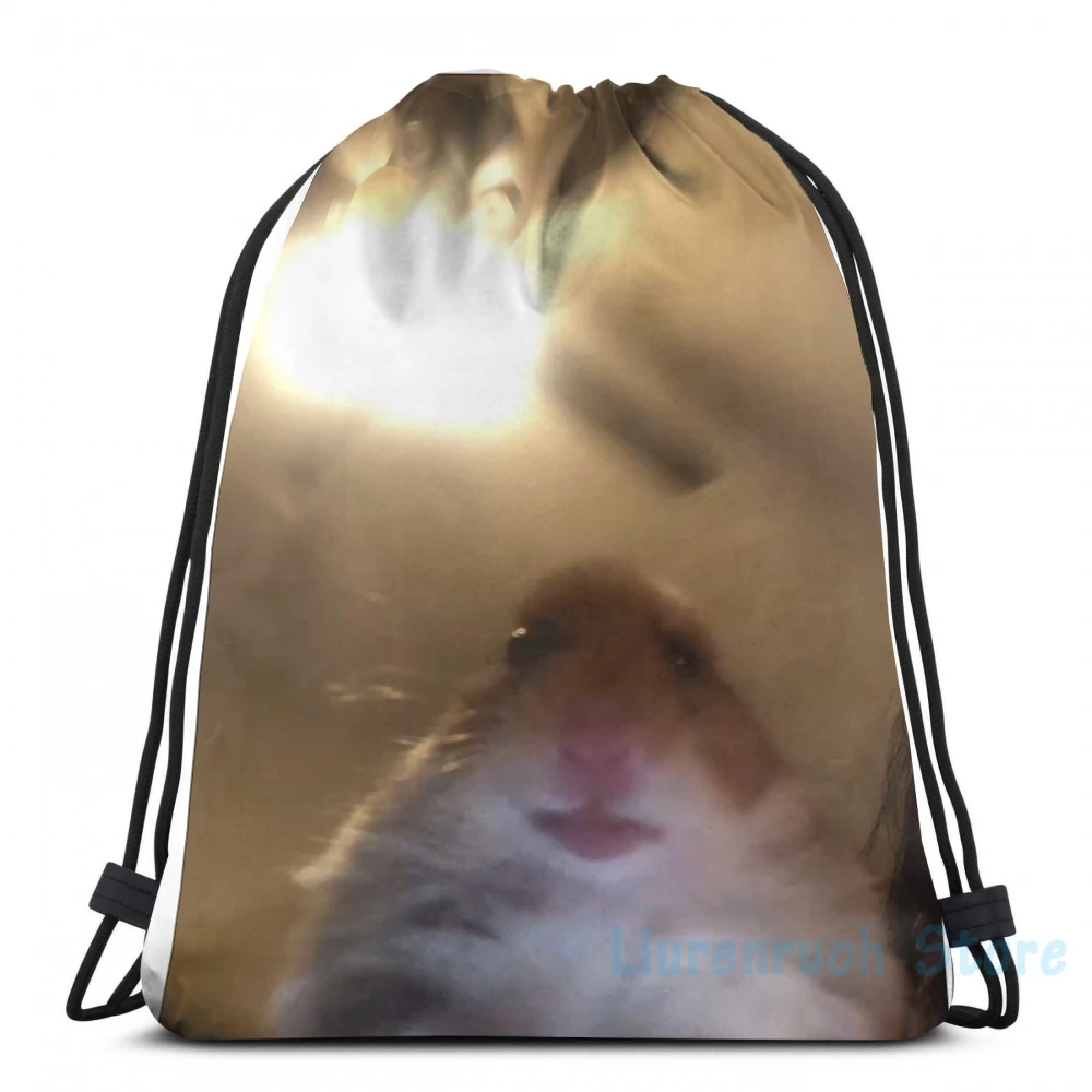 Funny Hamsters Meme