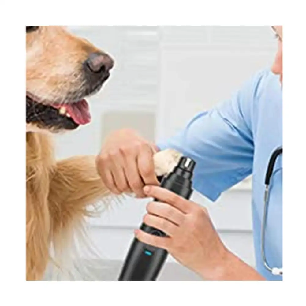 Electric Dog Nail Trimmer 50HZ/60Hz AC100V 240V Cut Nails Prune Cat ...