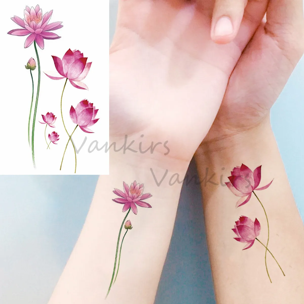 Alstroemeria Tattoo