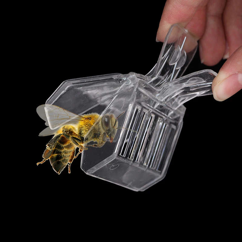 2-Pcs-Plastic-Queen-Cage-Clip-Bee-Catcher-Transparent-Plastic-Clip-Cage ...