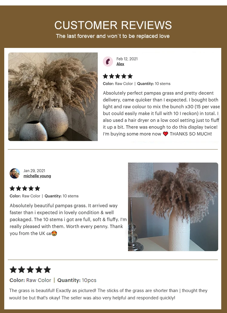 [(29)10 stems white color]