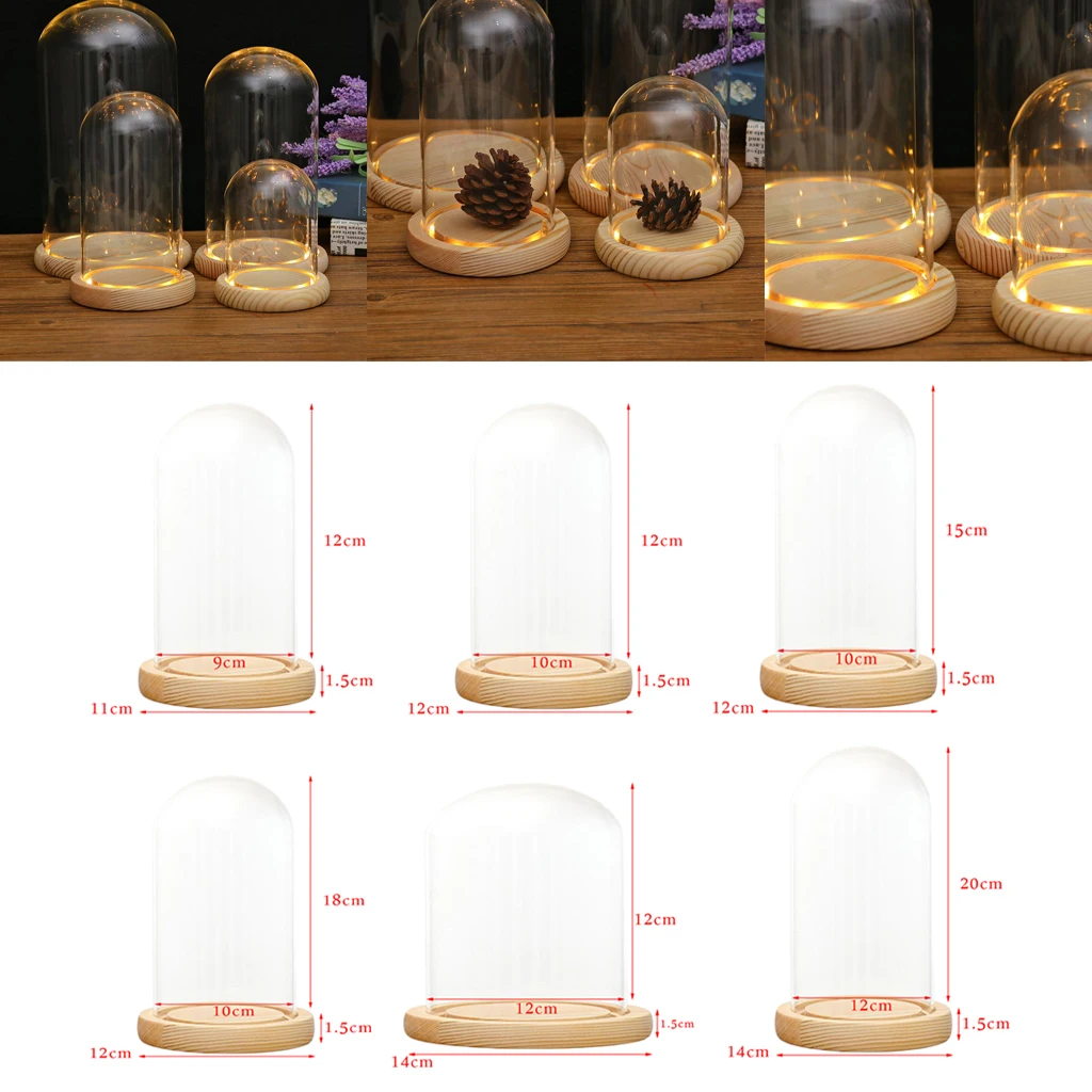 Decorative-Clear-Glass-Cloche-Bell-Jar-Display-Case-with-LED-Rustic ...