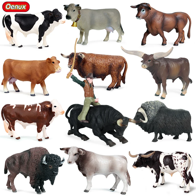 Difference Between An Ox And A Cow
