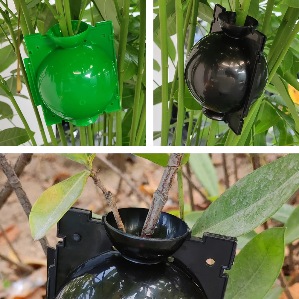 Jardinière,Reproduction Box de Culture Cas Plante Racine Box de Culture ...