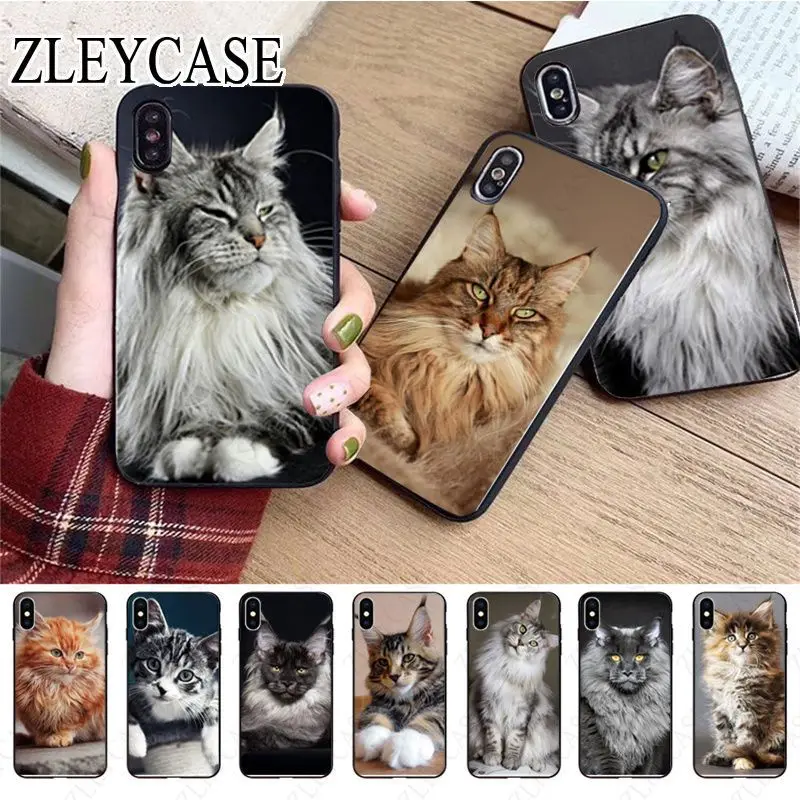 pet-maine-coon-cat-Phone-Accessories-Case-For-iphone-13pro-14pro-15pro ...