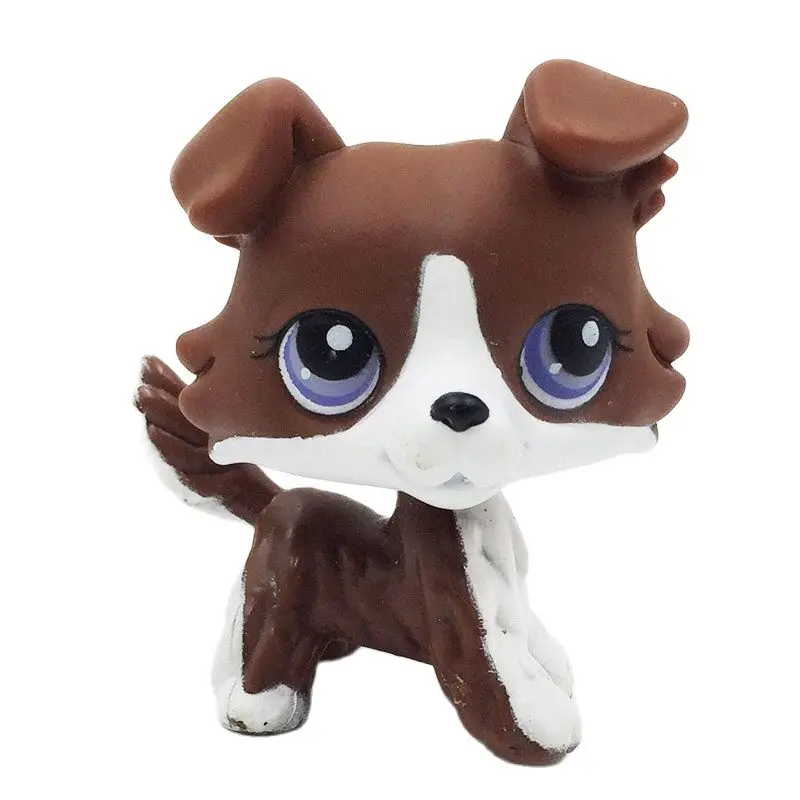 How Do Lps Real Collie Looks