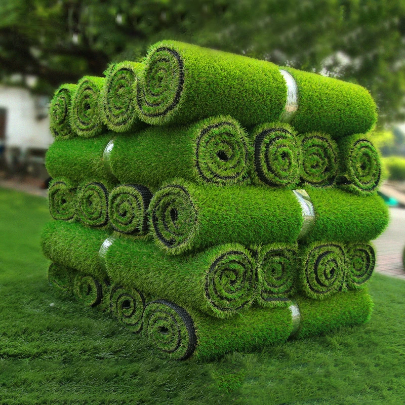 Carpet Grass Lawn
