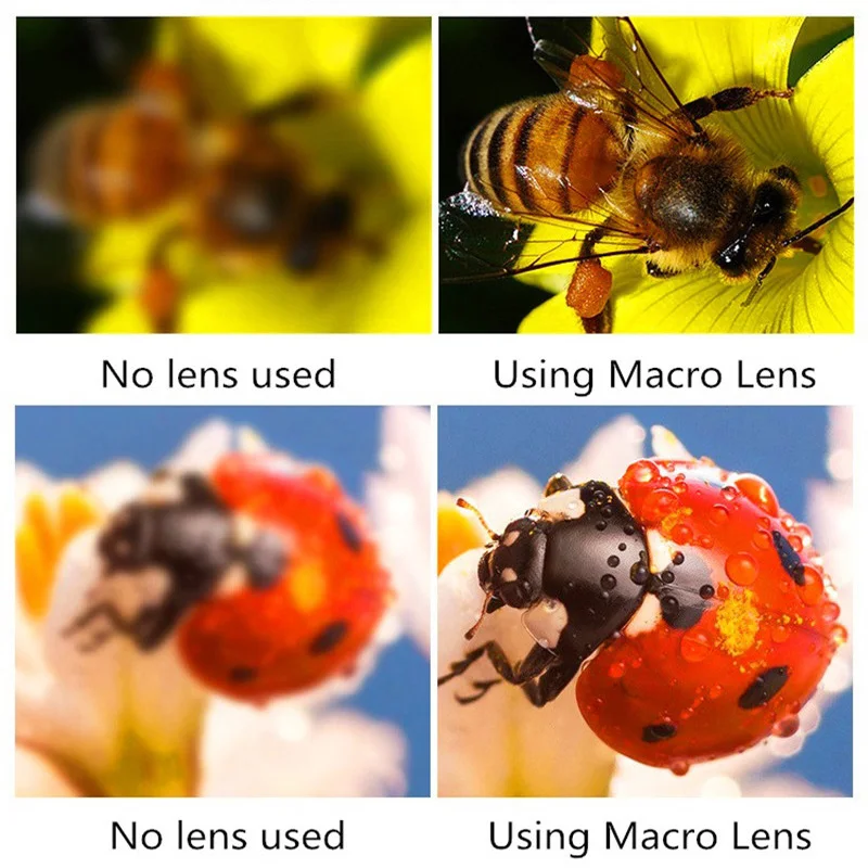 Ipod For Macro Lenses Explained